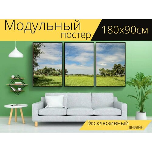 Модульный постер "Рисовые поля, бен тре, вьетнам" 180 x 90 см. для интерьера