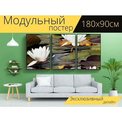 Модульный постер "Водяные лилии, кувшинка, уильям дуг" 180 x 90 см. для интерьера