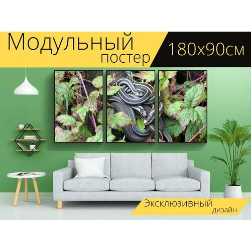 Модульный постер "Змеи, рептилии, подвязка" 180 x 90 см. для интерьера