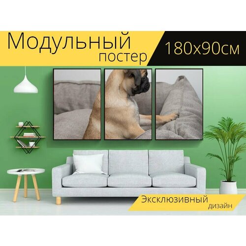 Модульный постер "Собака, мопс, лицо" 180 x 90 см. для интерьера