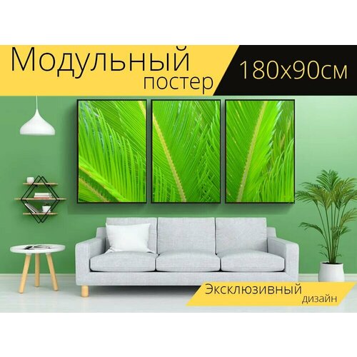 Модульный постер "Саговник, завод, зеленый" 180 x 90 см. для интерьера