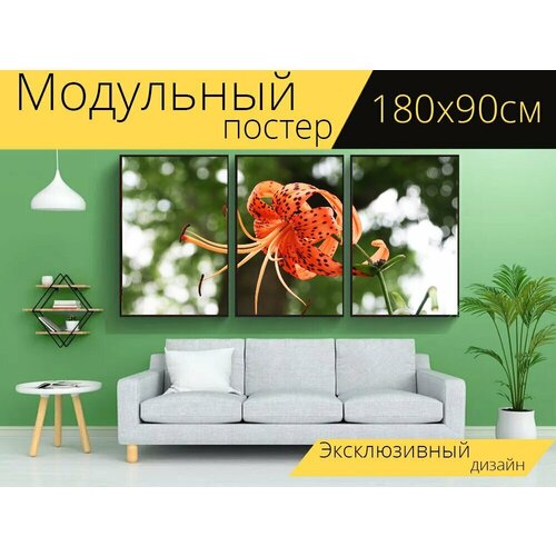 Модульный постер "Лили, дендрарий чонджу, ландыш" 180 x 90 см. для интерьера