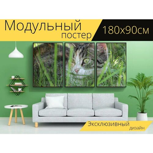 Модульный постер "Кот, животное, домашняя кошка" 180 x 90 см. для интерьера