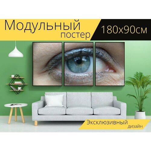 Модульный постер "Глаза, смотреть, глаз" 180 x 90 см. для интерьера