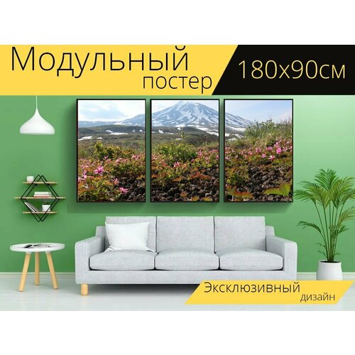 Модульный постер "Вулкан, цветы, камчатка" 180 x 90 см. для интерьера