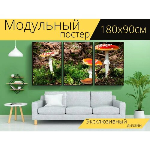 Модульный постер "Поганки, мухомор мухомор, гриб" 180 x 90 см. для интерьера
