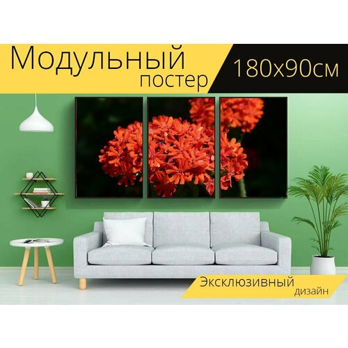 Модульный постер "Природа, апельсин, цветок" 180 x 90 см. для интерьера