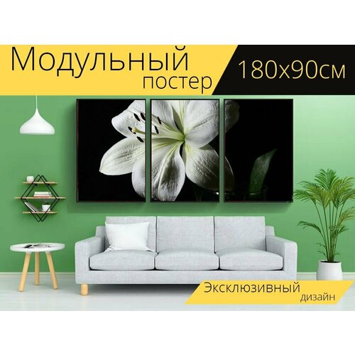 Модульный постер "Лили, белая лилия, цветочный" 180 x 90 см. для интерьера