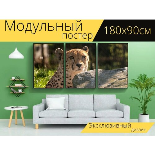 Модульный постер "Гепард, зоопарк, хищник" 180 x 90 см. для интерьера