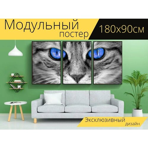 Модульный постер "Кот, глаза, кошачьи глаза" 180 x 90 см. для интерьера