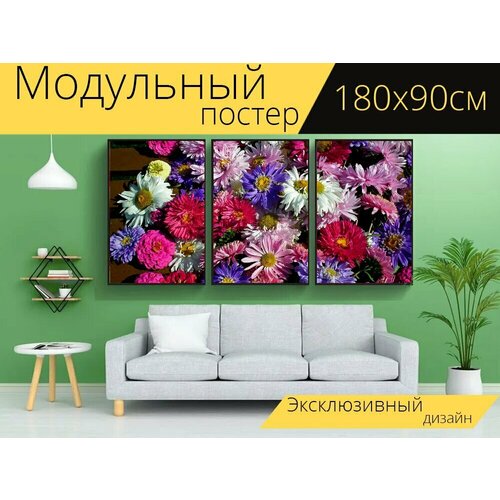 Модульный постер "Цветы астры, цинния, красочные" 180 x 90 см. для интерьера