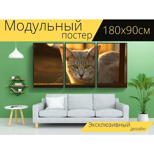 Модульный постер "Кот, падение, ржавчина" 180 x 90 см. для интерьера