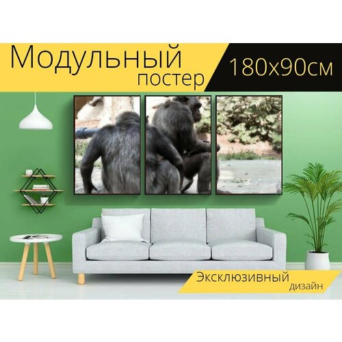 Модульный постер "Шимпанзе, обезьяна, дикая природа" 180 x 90 см. для интерьера