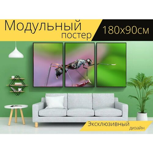 Модульный постер "Муравей, насекомое, животное" 180 x 90 см. для интерьера