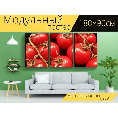 Модульный постер "Помидоры, овощи, красный" 180 x 90 см. для интерьера