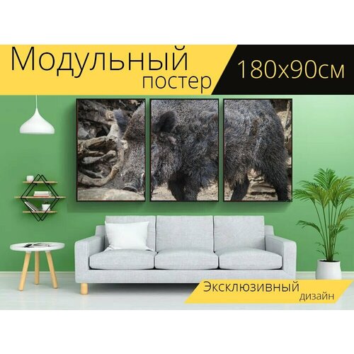 Модульный постер "Кабан, зоопарк, природа" 180 x 90 см. для интерьера
