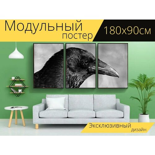 Модульный постер "Черный ворон, птица, животное" 180 x 90 см. для интерьера