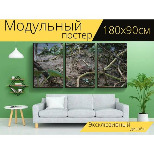 Модульный постер "Лягушка, болото, лягушкабык" 180 x 90 см. для интерьера