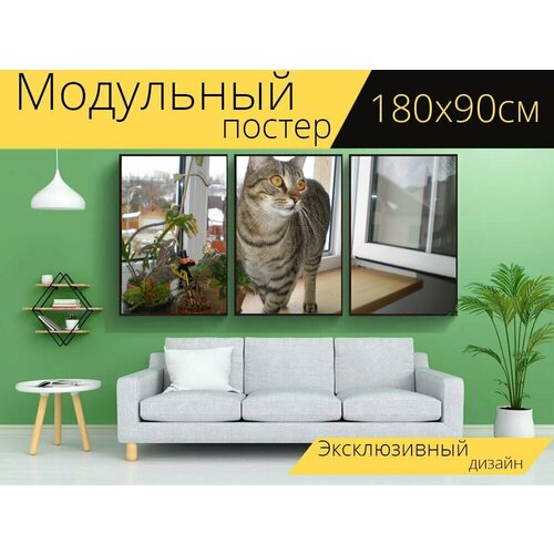 Модульный постер "Кот, домашний питомец, полосатый" 180 x 90 см. для интерьера
