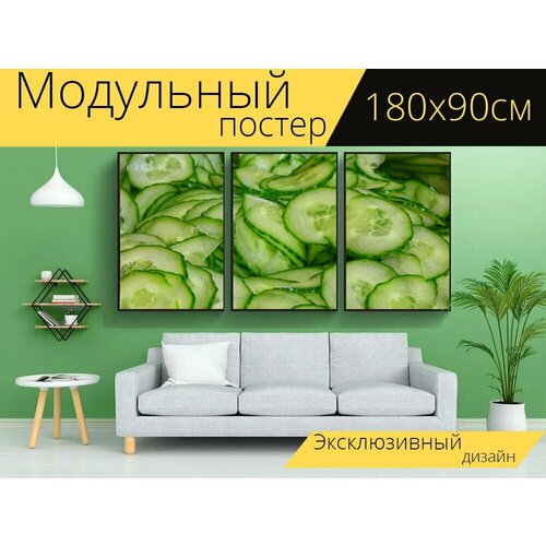 Модульный постер "Огурец, диски, салат" 180 x 90 см. для интерьера