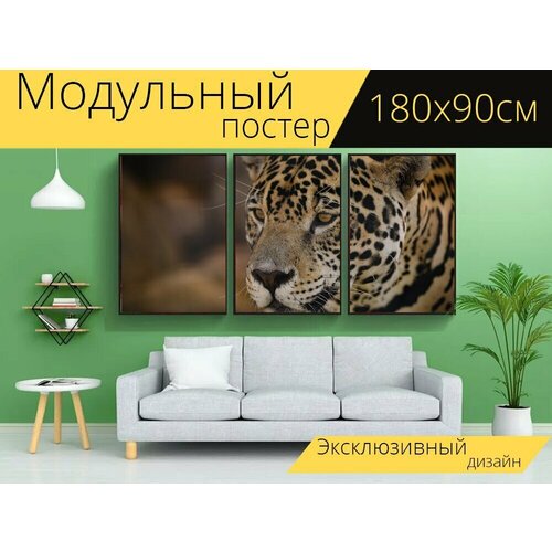 Модульный постер "Ягуар, пантера онка, глаза" 180 x 90 см. для интерьера