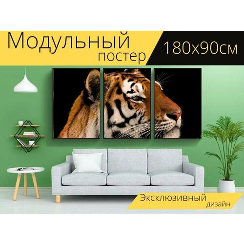 Модульный постер "Животное, тигр, большой кот" 180 x 90 см. для интерьера
