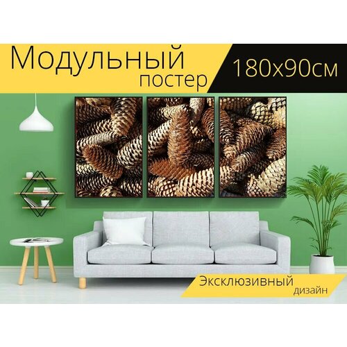 Модульный постер "Нажмите, еловые шишки, ель" 180 x 90 см. для интерьера