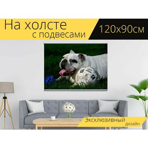 Картина на холсте "Собака, английский бульдог, бульдог" с подвесами 120х90 см. для интерьера