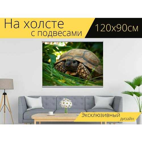 Картина на холсте "Черепаха, зеленый, оболочка" с подвесами 120х90 см. для интерьера