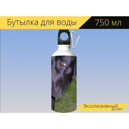 Бутылка фляга для воды "Собака, чернить, лабрадор" 750 мл. с карабином и принтом