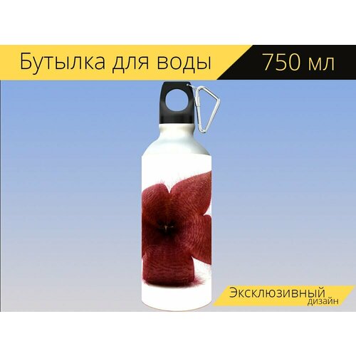 Бутылка фляга для воды "Стапелия, красный, растения" 750 мл. с карабином и принтом