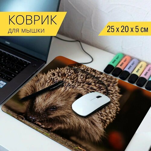 Коврик для мыши с принтом "Ежик, молодой ежик, животное" 25x20см.