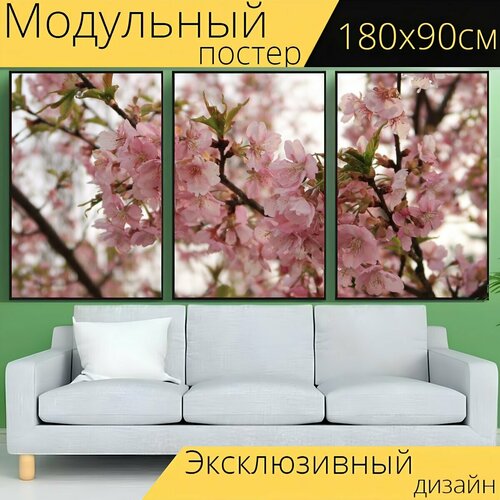 Модульный постер "Природные, цветы, вишневое дерево" 180 x 90 см. для интерьера