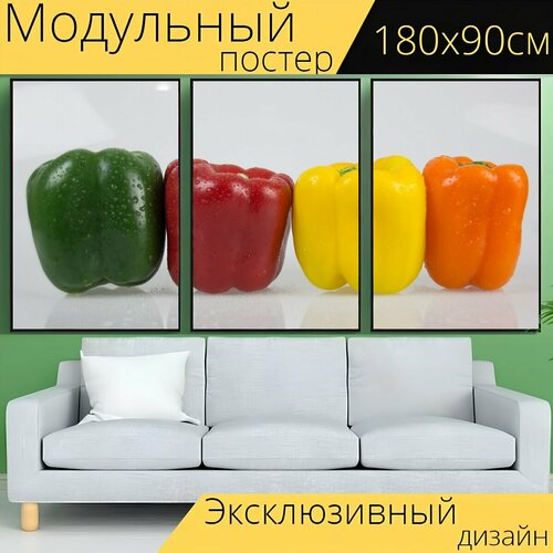 Модульный постер "Перцы чили, овощи, овощной сад" 180 x 90 см. для интерьера