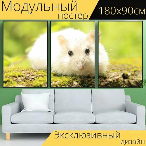 Модульный постер "Хомяк, мышь, животные" 180 x 90 см. для интерьера