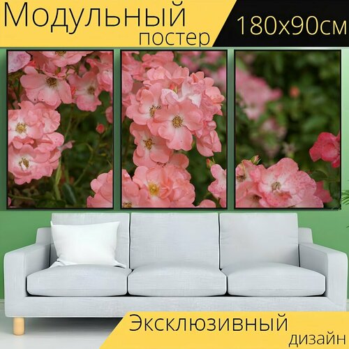 Модульный постер "Дикие розы, цветы, розовые цветы" 180 x 90 см. для интерьера