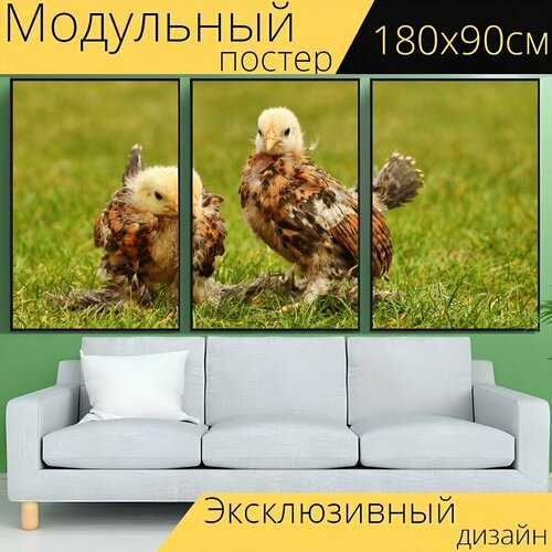 Модульный постер "Цыпленок, пасхальный цыпленок, пасхальный" 180 x 90 см. для интерьера