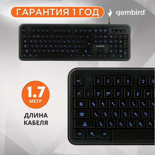 Клавиатура Gembird KB-200L Black USB черный, английская/русская (ISO), 1 шт.