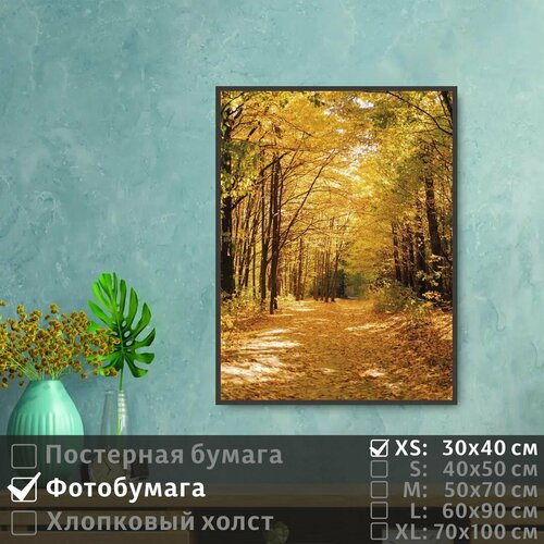 Постер на фотобумаге Тропинка В Осеннем Лесу 30х40 см ПолиЦентр