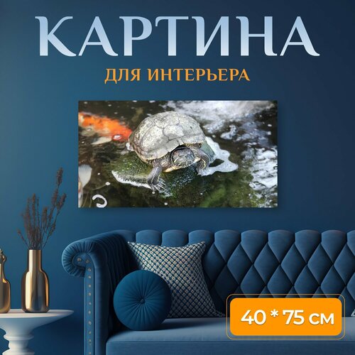 Картина на холсте "Черепаха, животное, рептилия" на подрамнике 75х40 см. для интерьера
