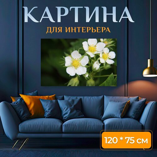 Картина на холсте "Клубничное дерево, цветок, растения" на подрамнике 120х75 см. для интерьера