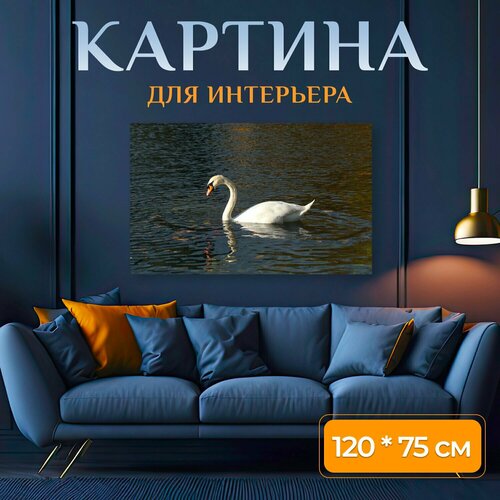 Картина на холсте "Птица, вода, лебедь" на подрамнике 120х75 см. для интерьера