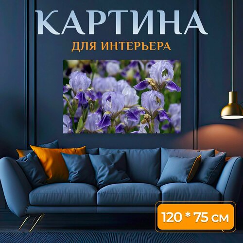 Картина на холсте "Ирисы, цветы, фиолетовый" на подрамнике 120х75 см. для интерьера