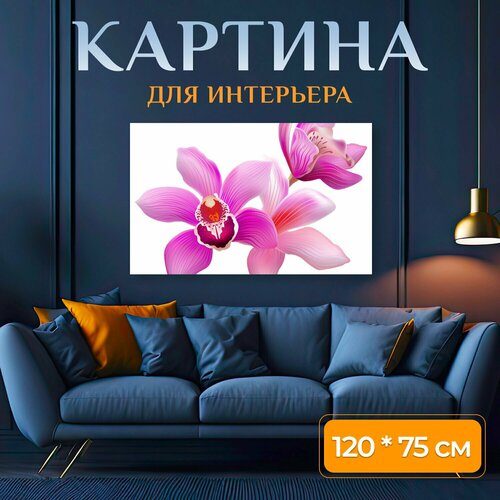 Картина на холсте "Орхидеи, цветение, розовый" на подрамнике 120х75 см. для интерьера