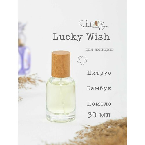 Lucky Wish духи стойкие