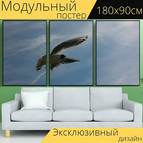 Модульный постер "Летающий, свобода, крыло" 180 x 90 см. для интерьера