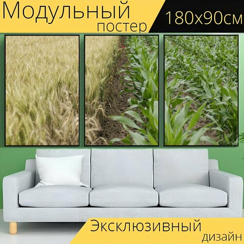 Модульный постер "Сельское хозяйство, сельская местность, ферма" 180 x 90 см. для интерьера