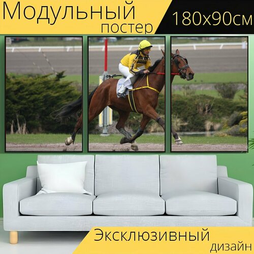 Модульный постер "Лошадь, рысью, животные" 180 x 90 см. для интерьера