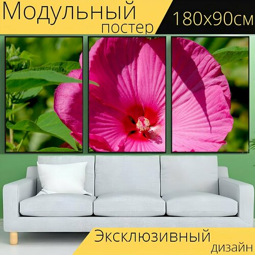 Модульный постер "Гибискус, цветок, природа" 180 x 90 см. для интерьера