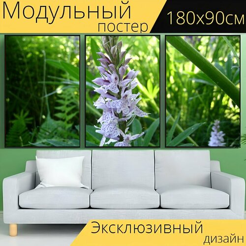 Модульный постер "Орхидея, дикие, растительность" 180 x 90 см. для интерьера